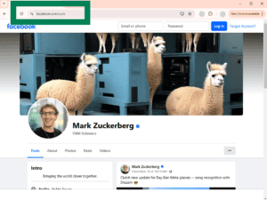 How To Find My Facebook User ID And Username - 9meters