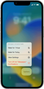 iPhone Notifications Guide - 9meters