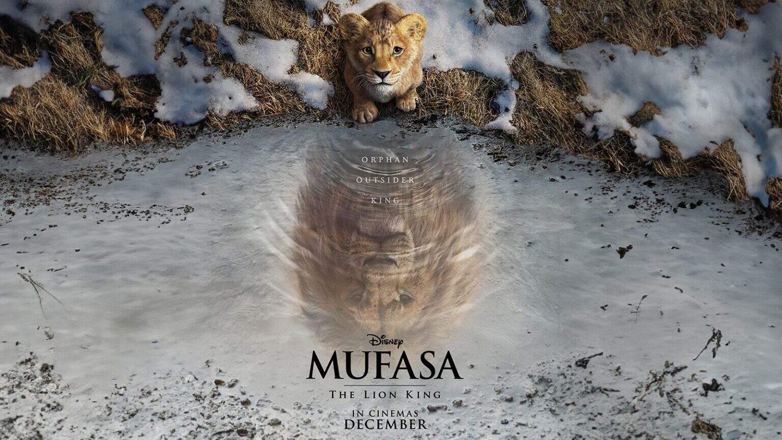 What's New and Coming on Disney+ Includes Fresh Films Like Mufasa ...